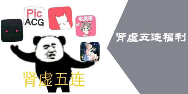 肾虚十连软件库最新版
