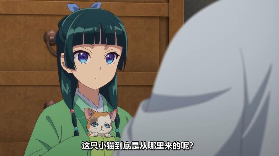猫猫番