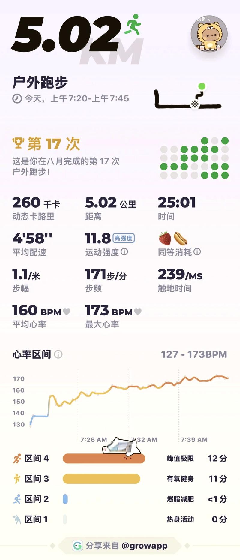 金猪记步走路