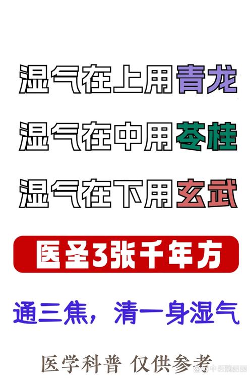 全民医圣红包版