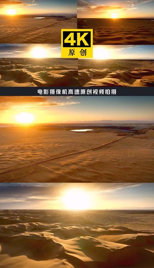 黄沙视频免费版