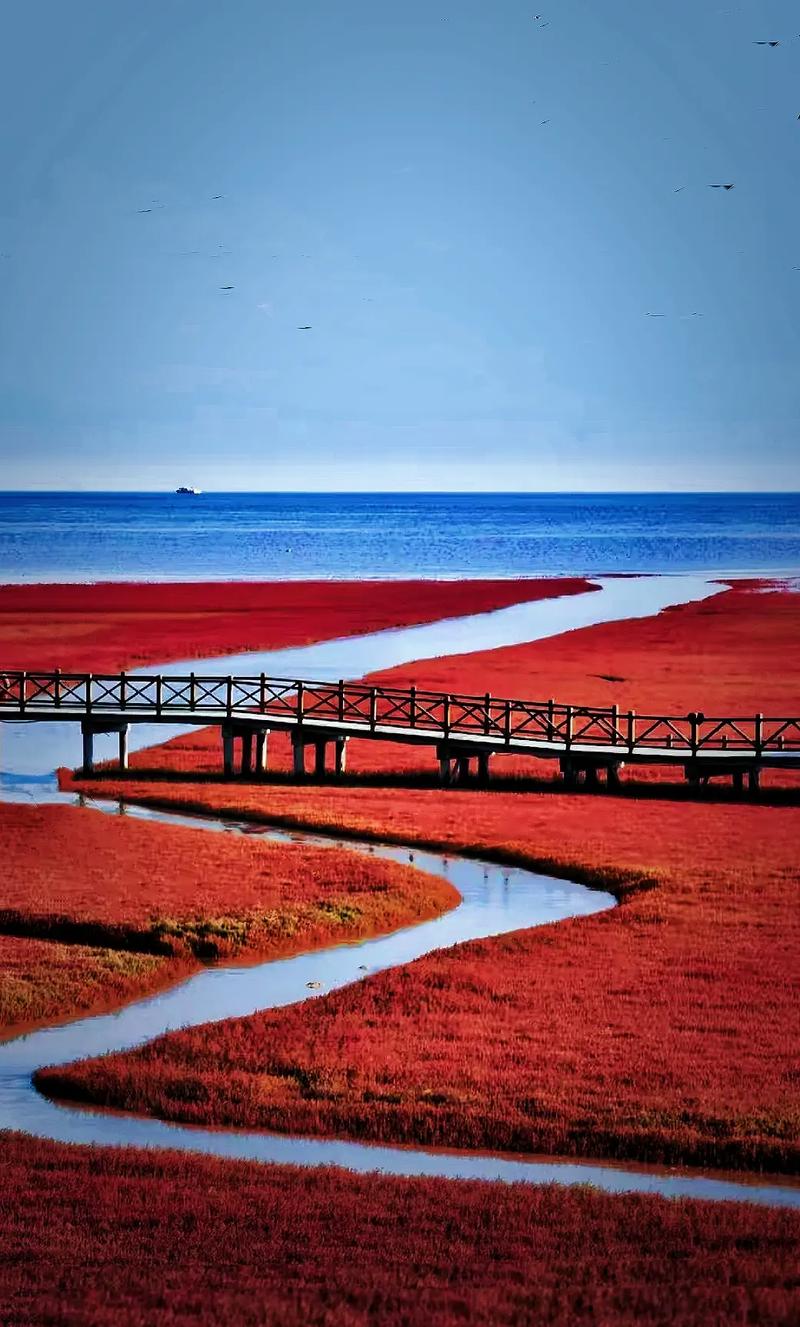 红海滩
