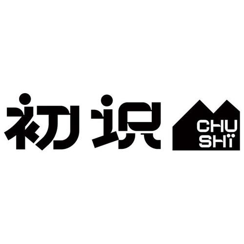 初识图标