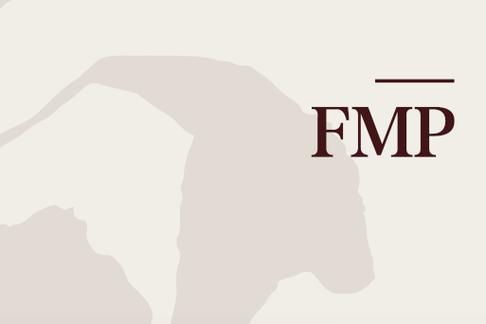 FMP助手(FMP Helper)图标