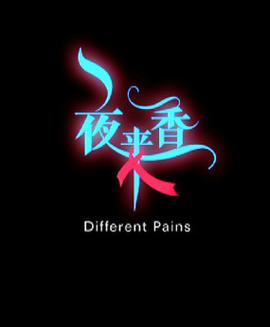 夜来香交友平台图标