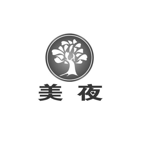 美夜截图