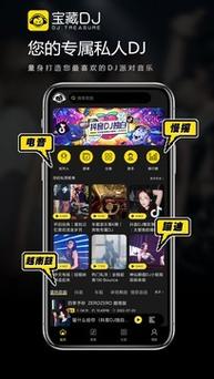 宝藏DJ音乐