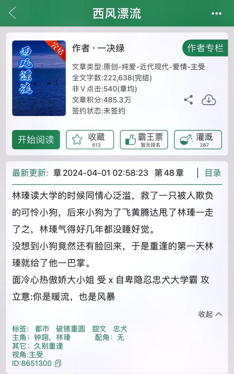 西风小说(旧版)