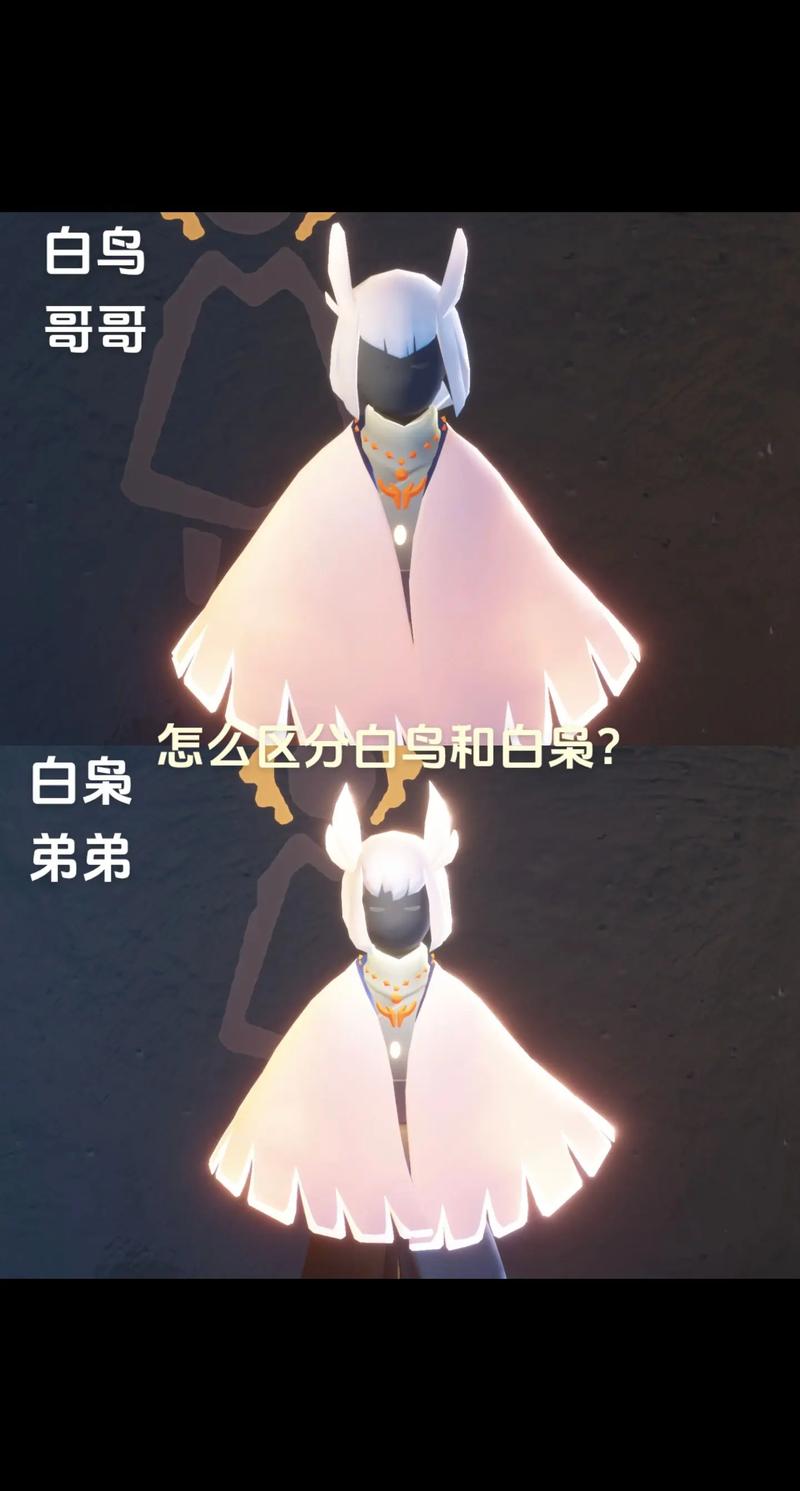 光遇白鸟发型脚本代码
