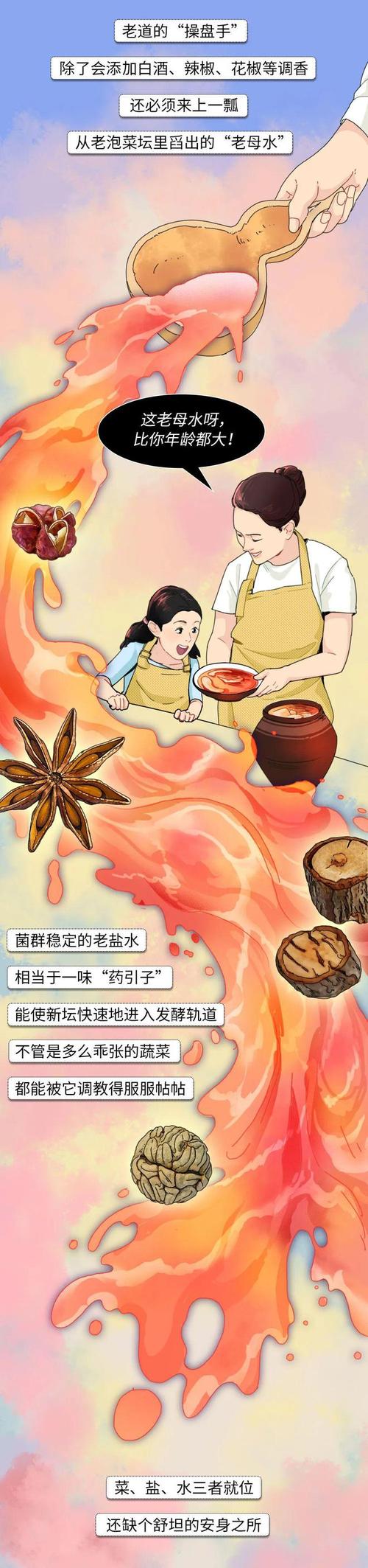 泡菜漫画免费版
