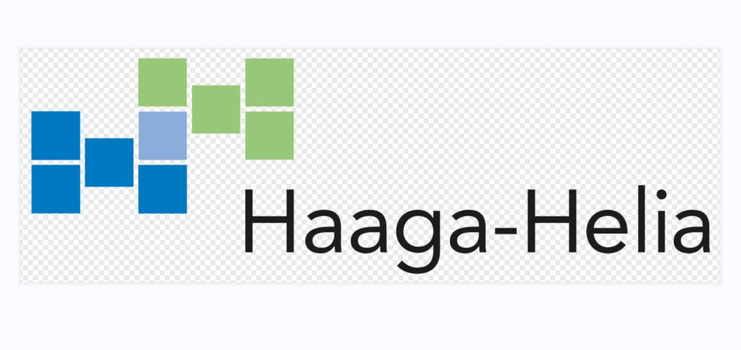 HA Go图标