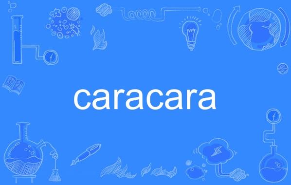 CARATS官方APP
