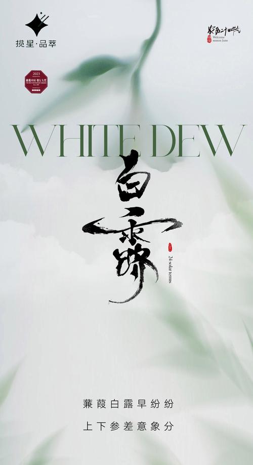 白露小说图标