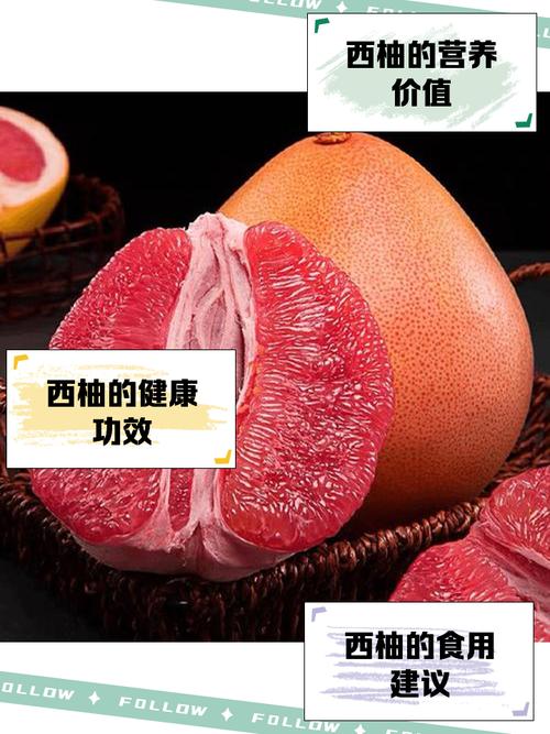 西柚资讯官网版