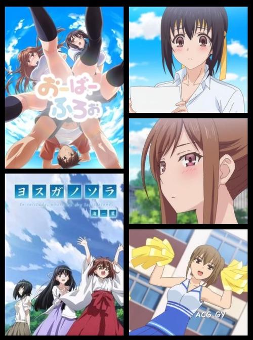 Overflow樱花