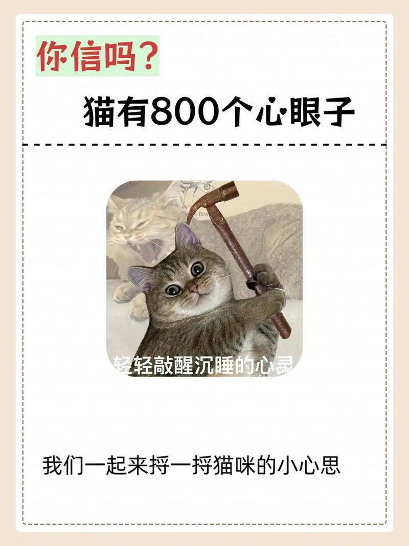 抖音小猫咪能有什么坏心眼呢图标