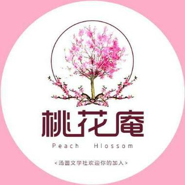 桃花书屋小说图标