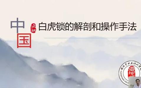 白虎API单锁辅助