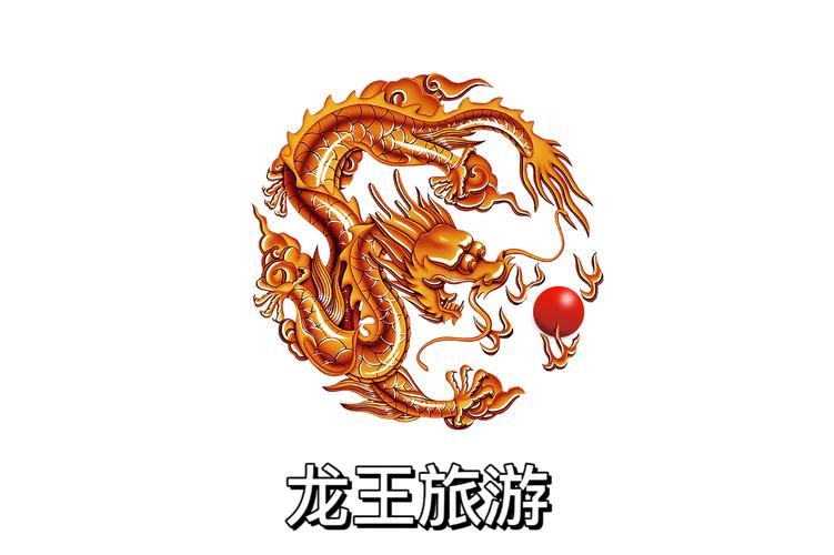 龙王4.5辅助器图标