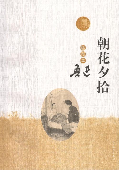 朝花免费小说