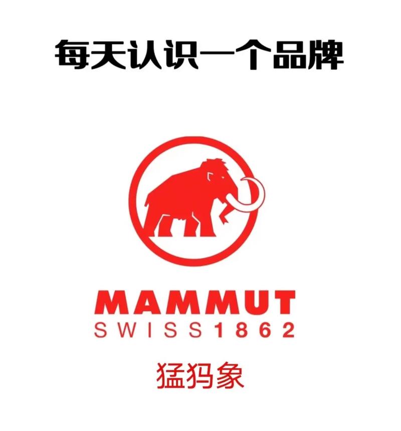 猛犸框架图标