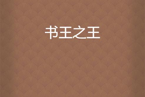 小说之王图标