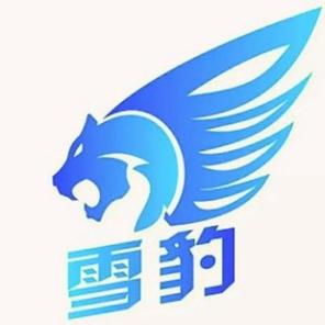 雪豹画质助手截图