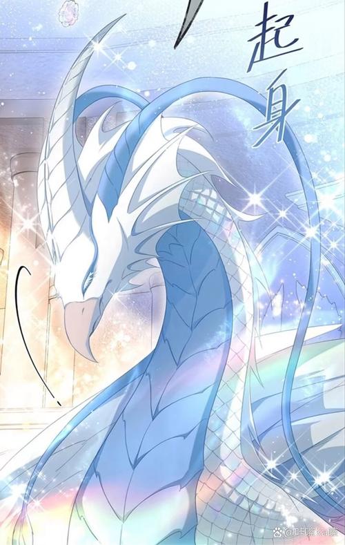 白龙君动漫