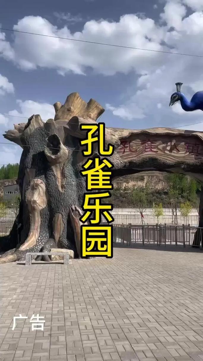 孔雀乐园app下载