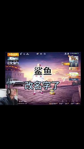 鲨鱼top和平精英2.0截图