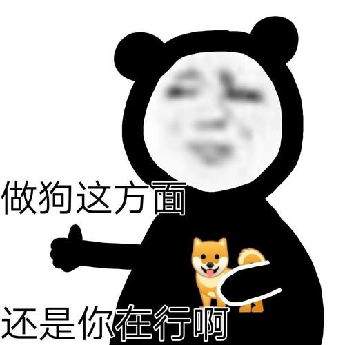 最强怼人专用表情包图片分享