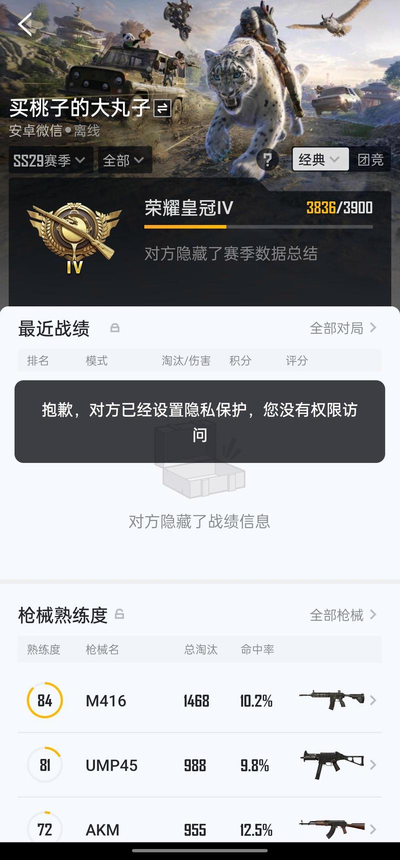 和平精英破解隐藏战绩助手图标