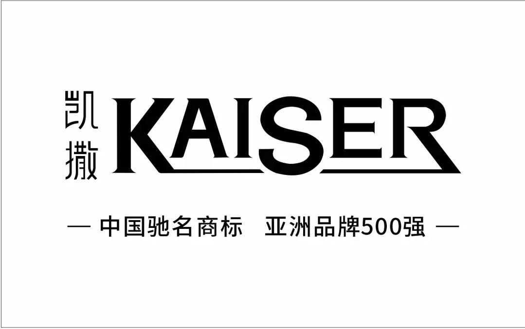凯撒科技app图标