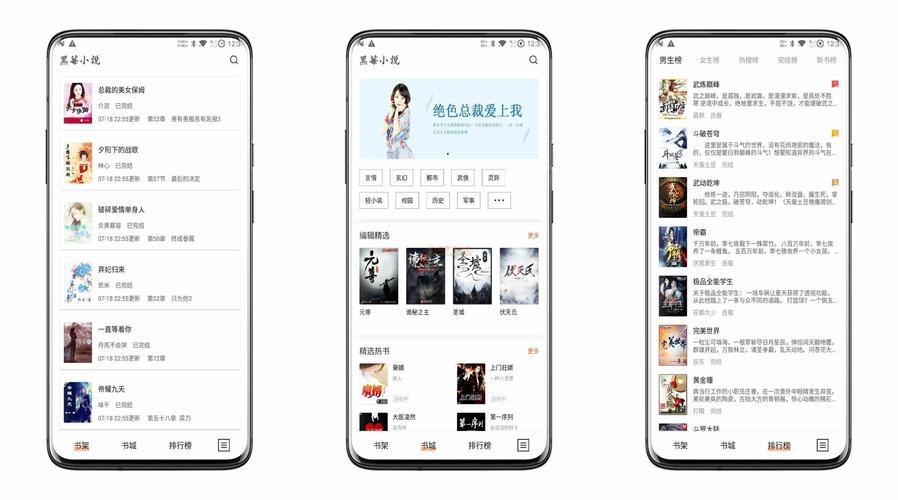 黑莓小说 去广告版