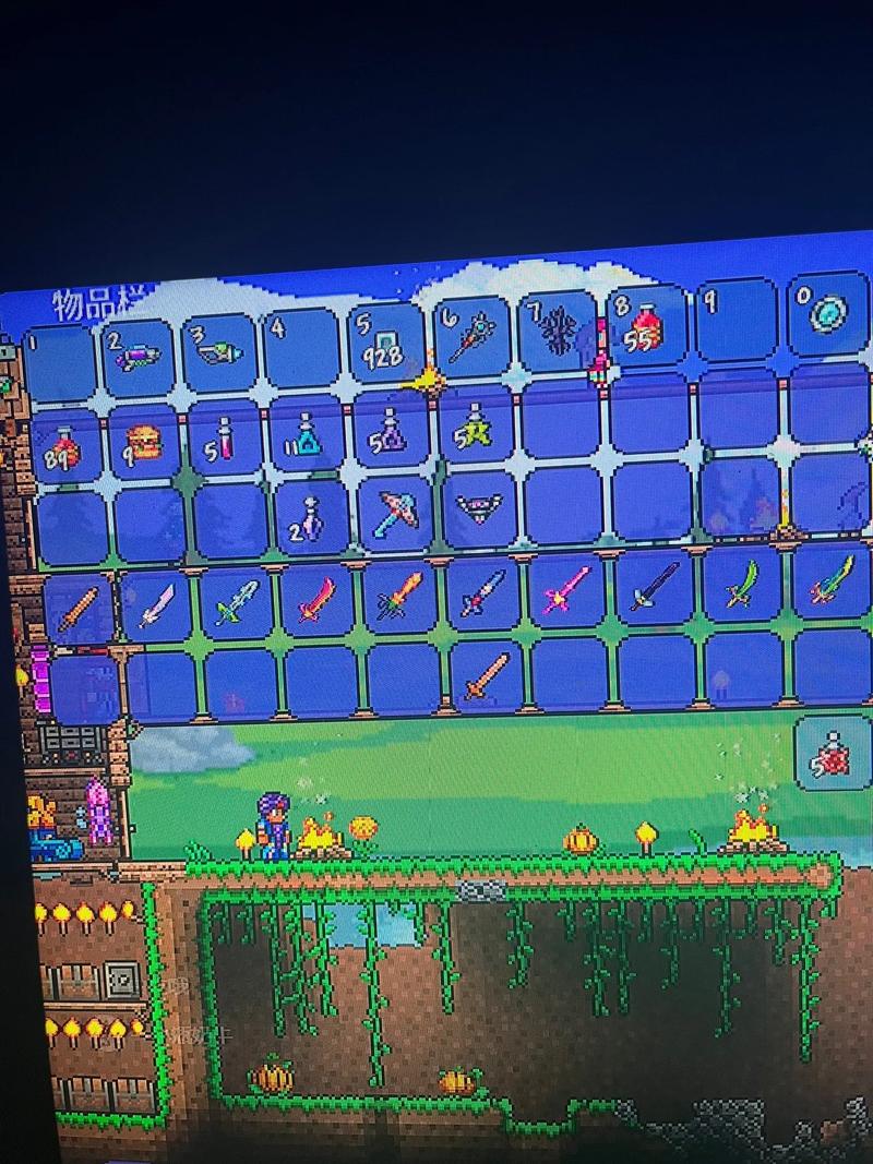 泰拉瑞亚内置PlayMOD菜单手机版截图