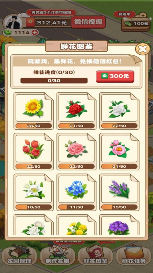 江南花园畅玩版永久免更新截图