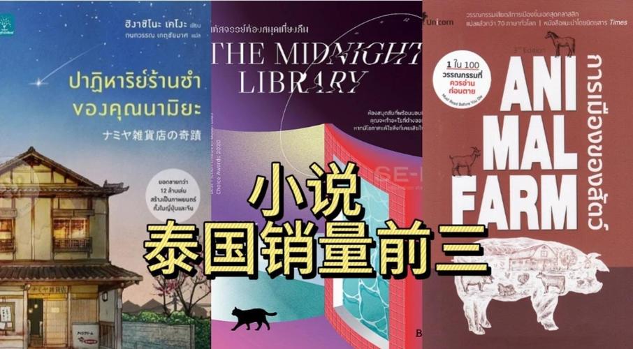 泰国小说最新版截图