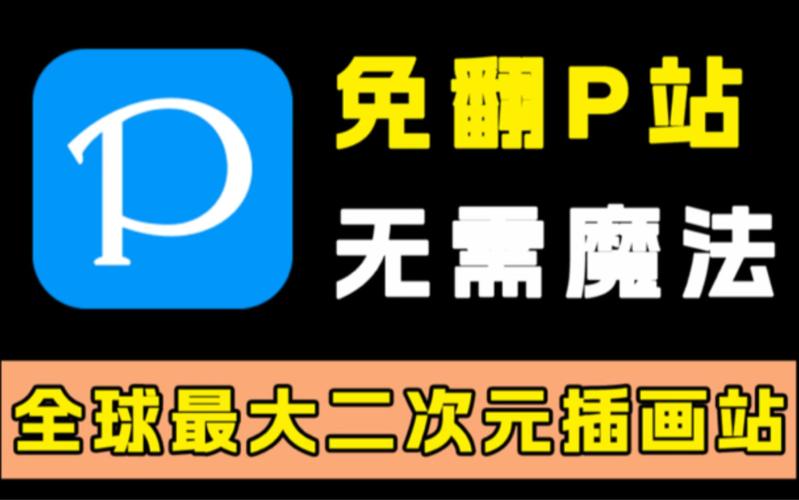 P站PROBRUN软件免费下载截图