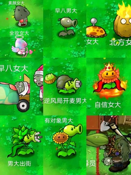 植物大战僵尸杂交版安装