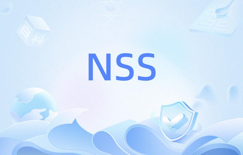 nss画质修改器图标