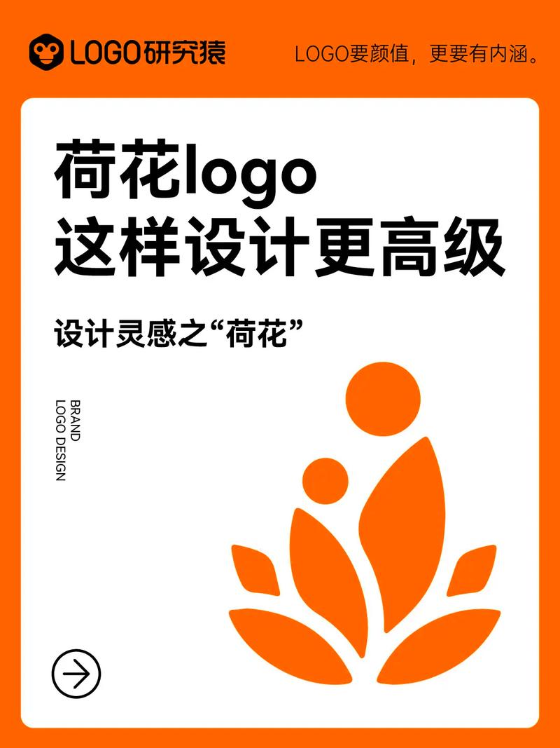 荷花赚app正式版