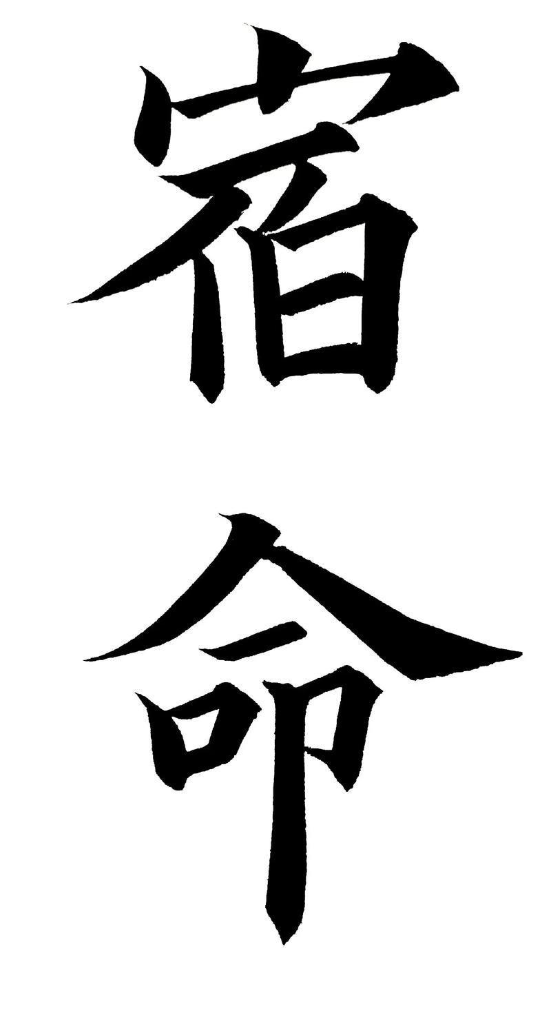 宿命论手机版下载图标