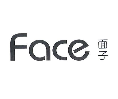 面子绘制框架图标