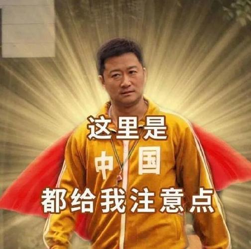吴京承包奥运会表情包图片大全