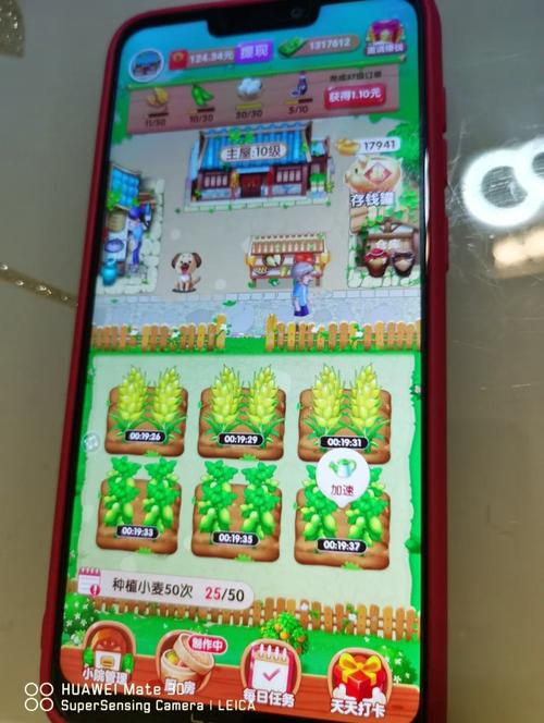 爷爷的小农院赚钱APP