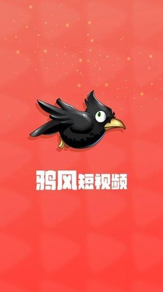 鸦风短视频赚钱版