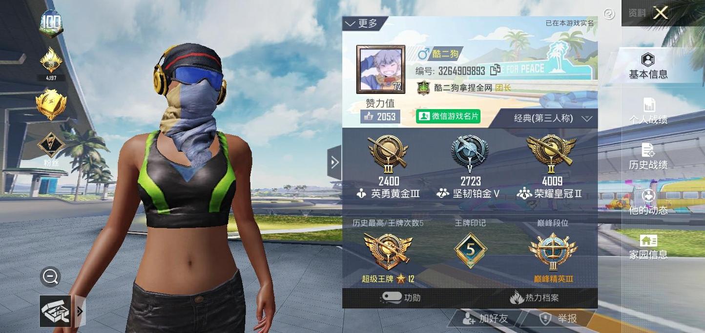 美化包酷二狗和平精英