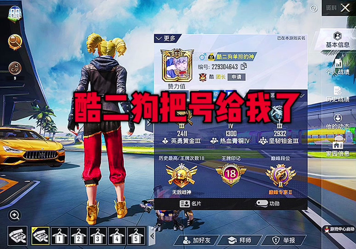 酷二狗美化包和平精英免费版截图
