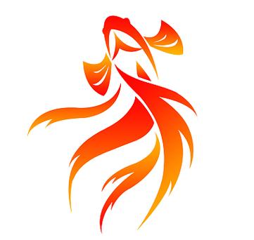 金鱼网图标