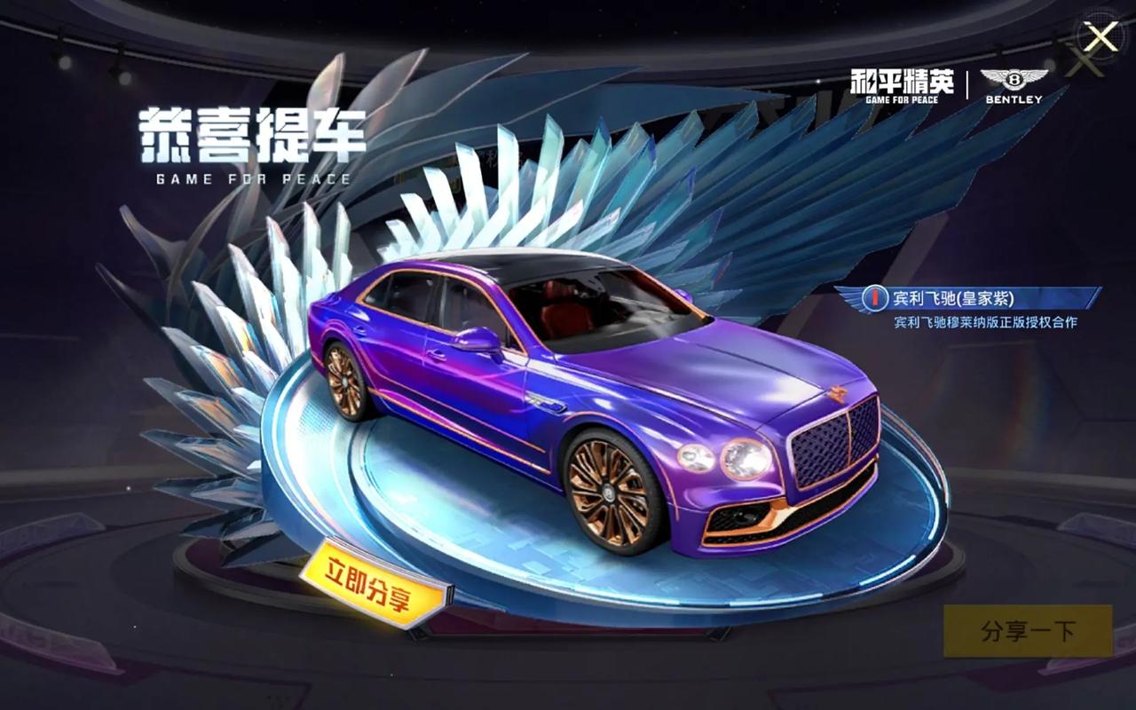 和平精英宾利辅助